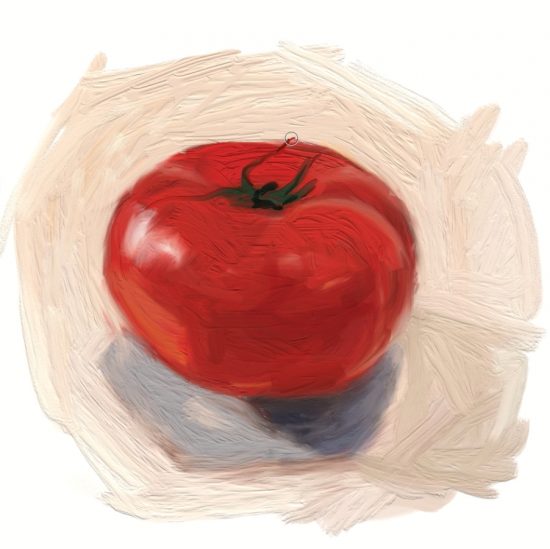 6 Tips On How To Paint A Tomato - Shelley Hanna Fine Art - How to paint