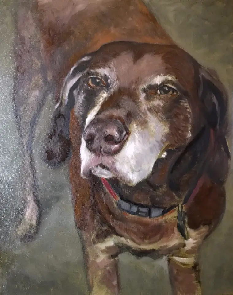 How To Paint A Senior Dog Portrait – Tips & Tricks
