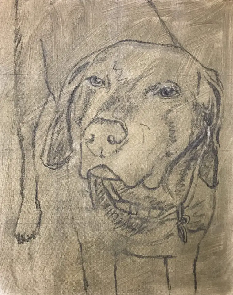How To Paint A Senior Dog Portrait – Tips & Tricks