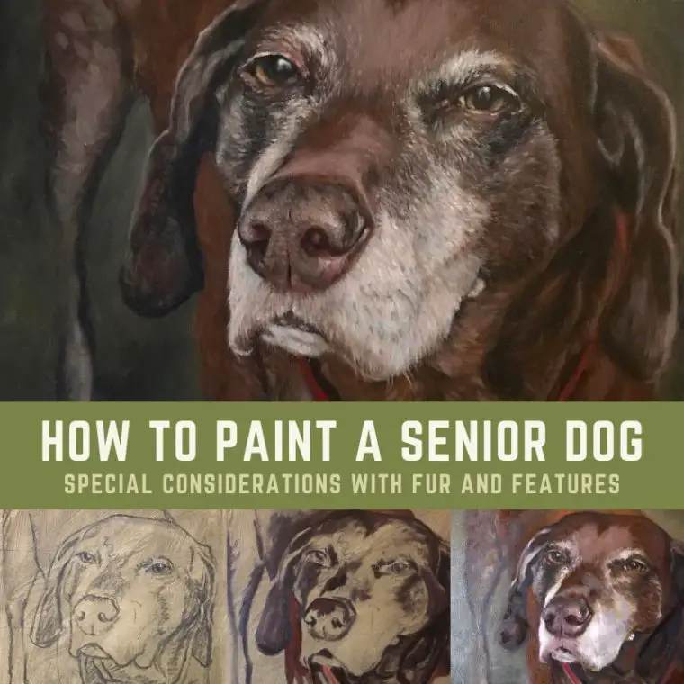 How To Paint A Senior Dog Portrait – Tips & Tricks