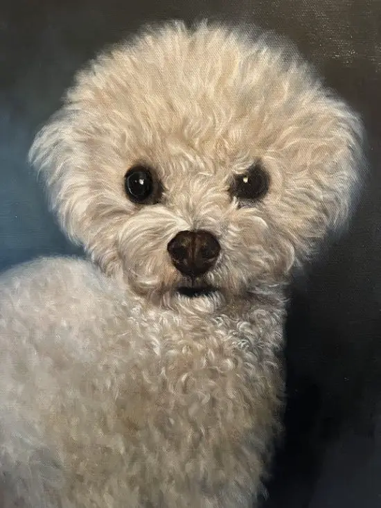 Painting Realistic Curly Fur in Oil – 9 Tips